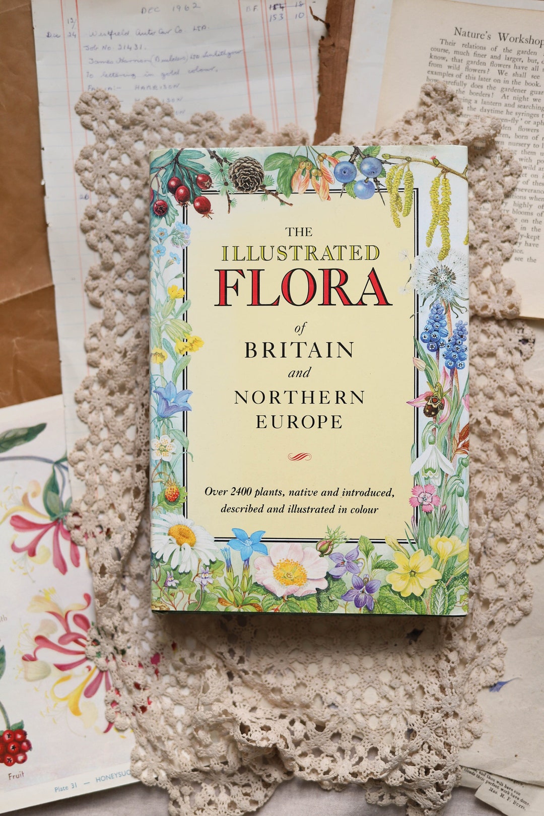 The Illustrated Flora, Vintage Botanical Book, Margaret Blamey - Etsy