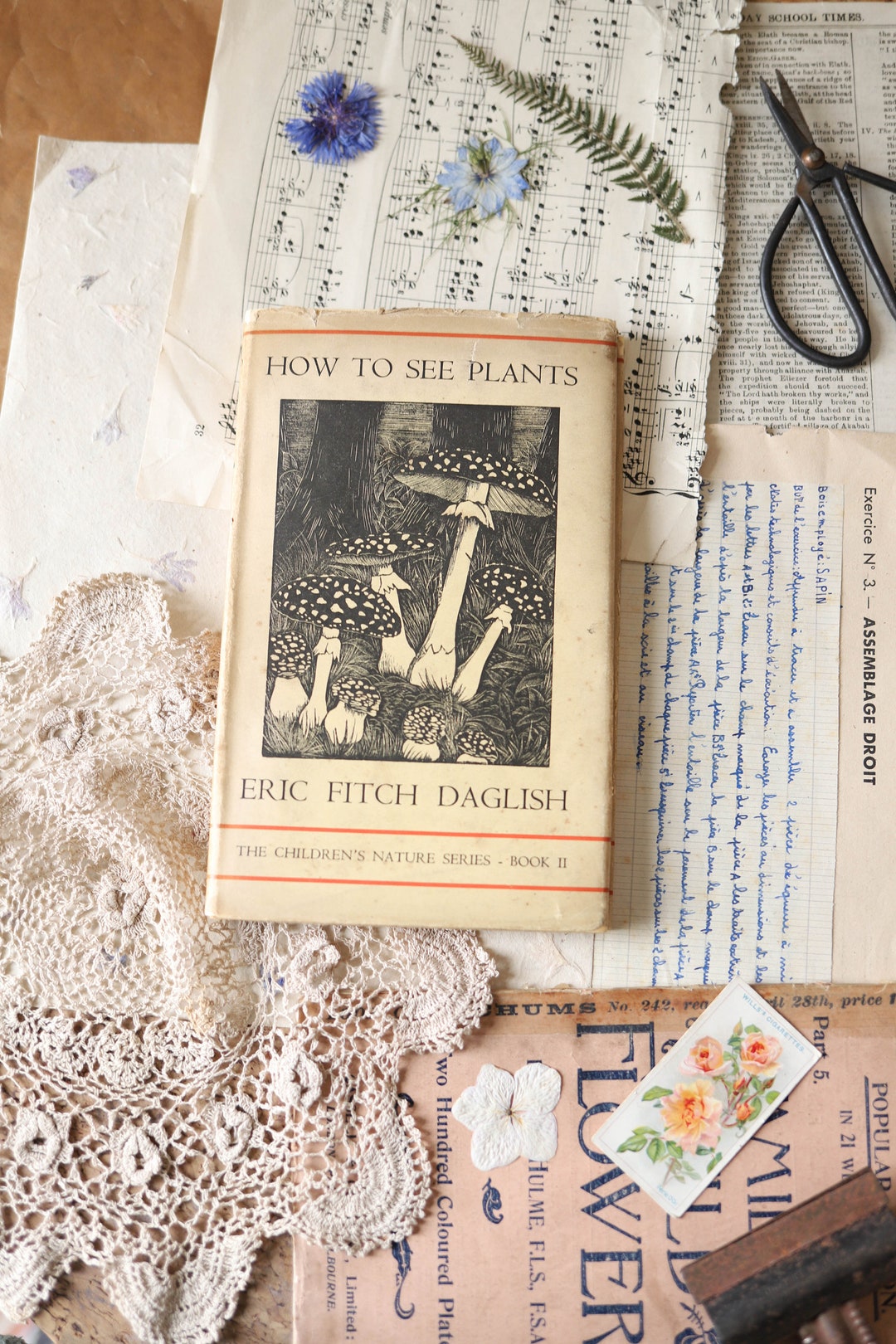 How to See Plants, Vintage Book, Children's Nature Series, Eric Fitch ...