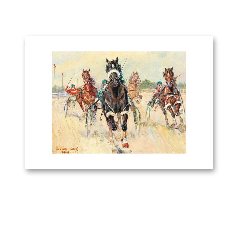 Horse Harness - Etsy