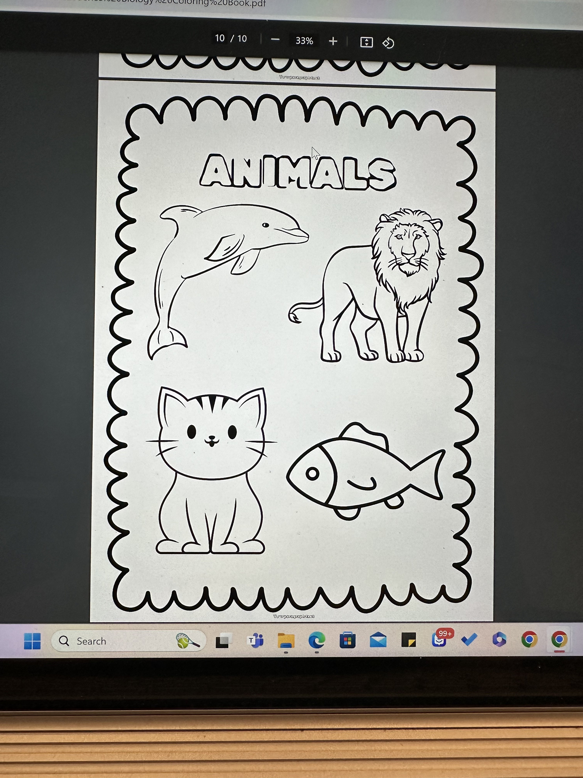 Science Series: Biology Coloring Book for Kids - Etsy