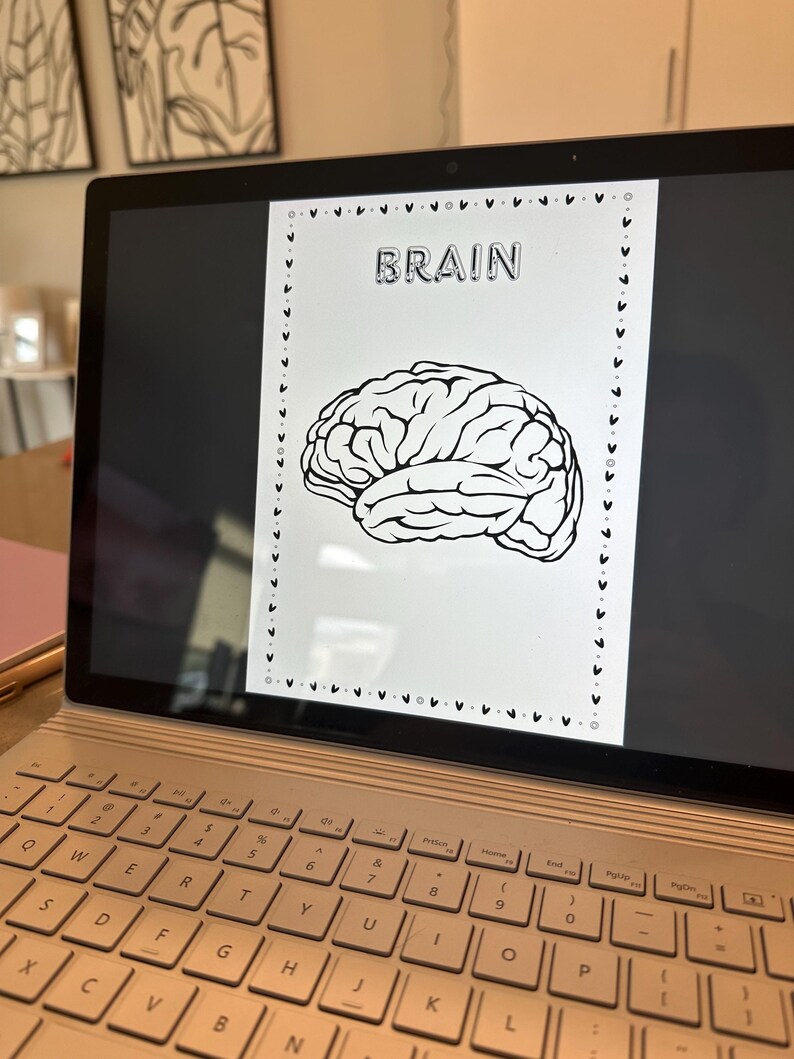 Science Series: Anatomy Coloring Book for Kids - Etsy