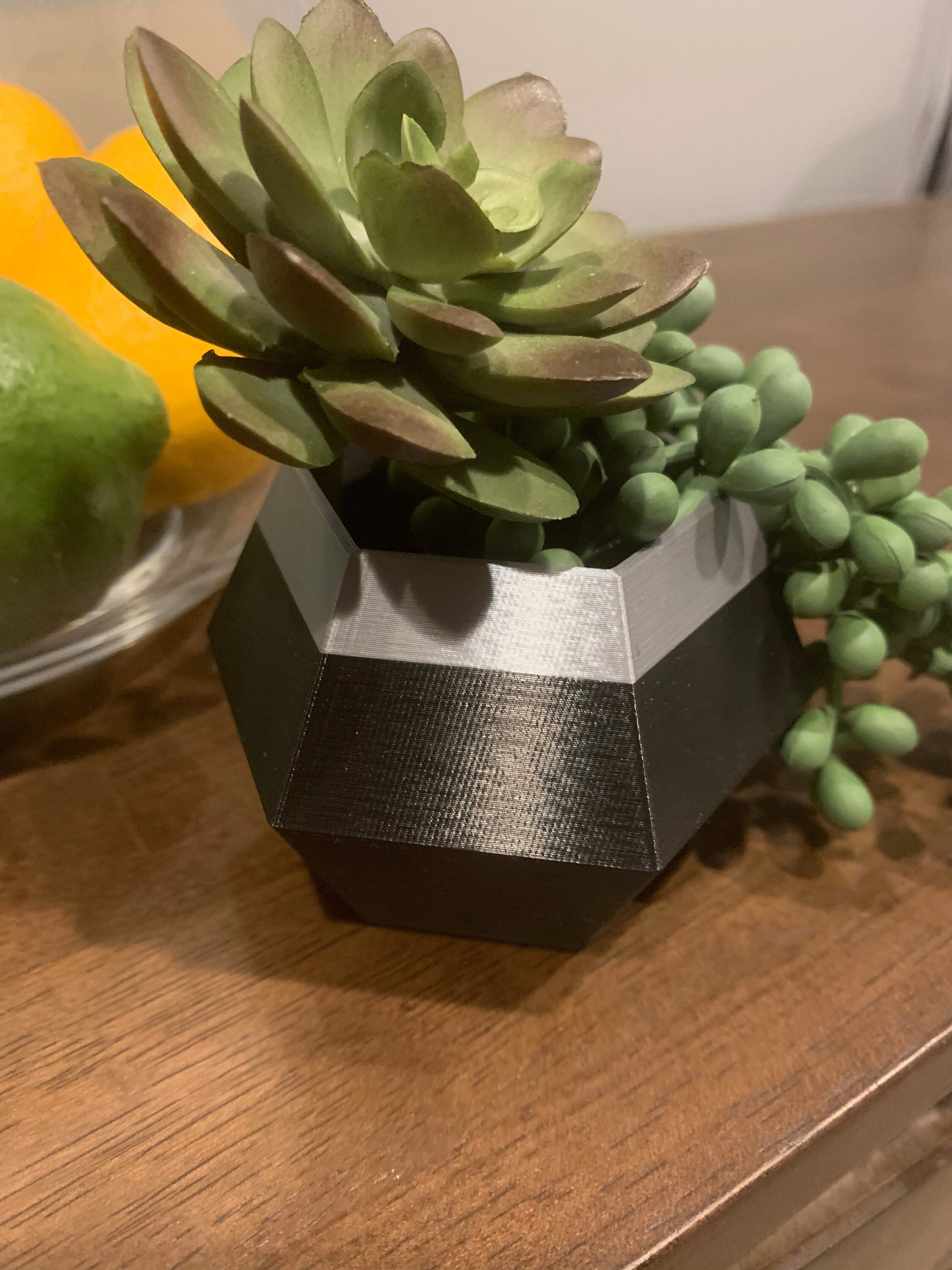 Black and Silver 3D Printed Succulent Planter - Etsy