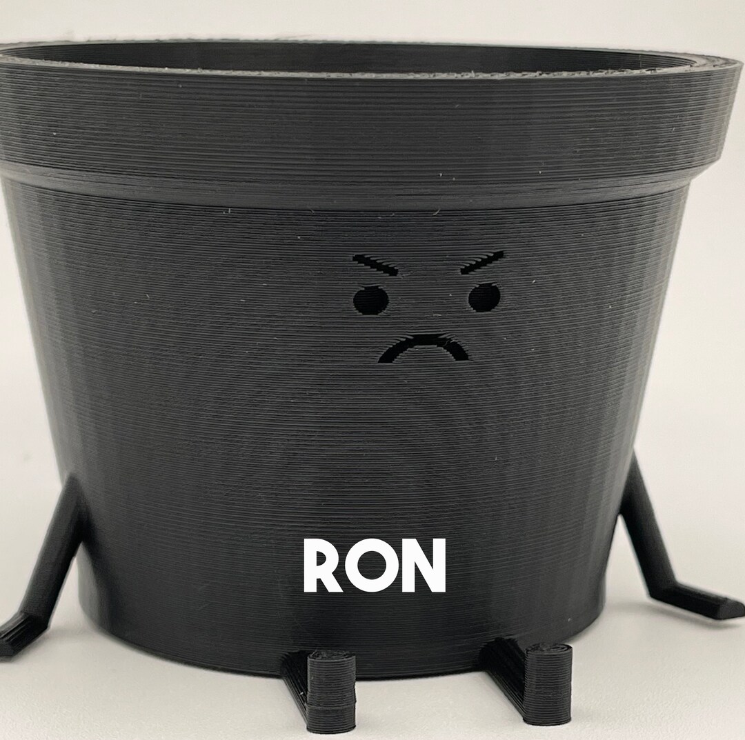 Ron the Grumpy Planter - Large and Extra Large Size - Kawaii Planter ...