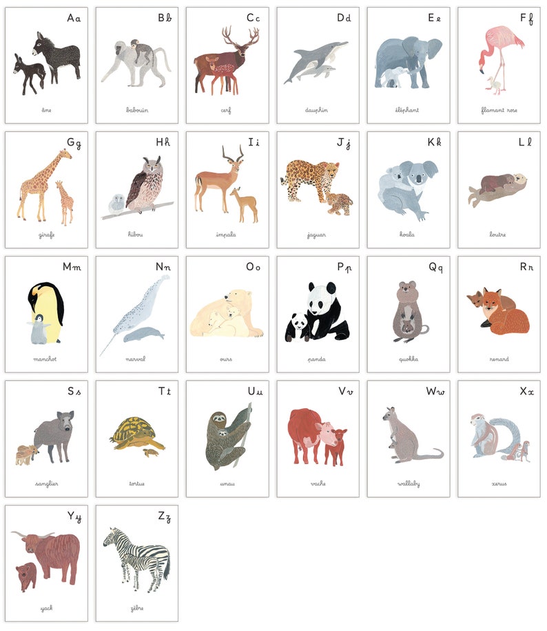 Printable Alphabet Cards of Animals and Their Babies - Etsy