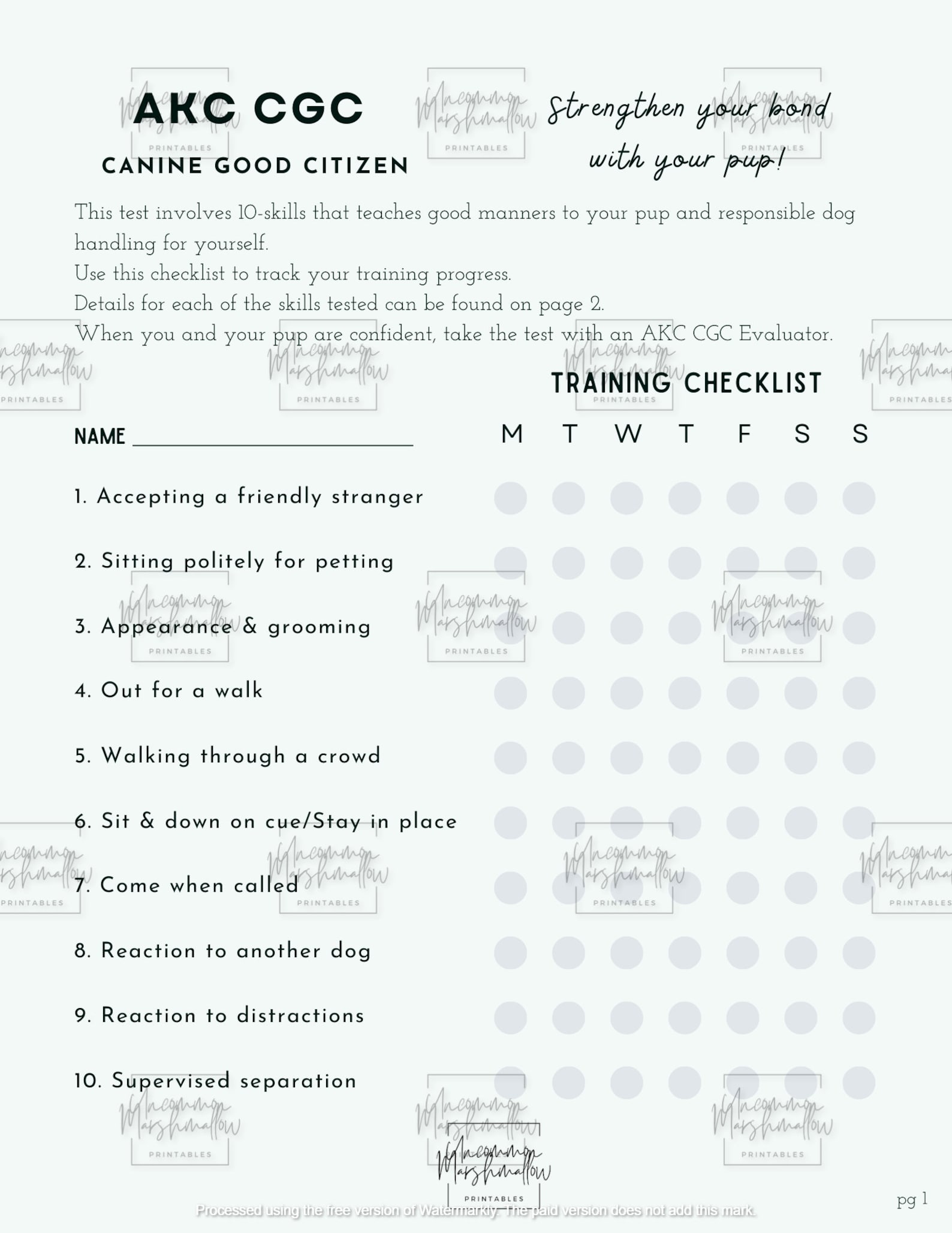 AKC Canine Good Citizen CGC Dog Training Worksheet Checklist ...
