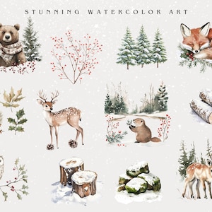 Christmas Watercolor Woodland Clipart, Winter Woodland Forest Animals ...