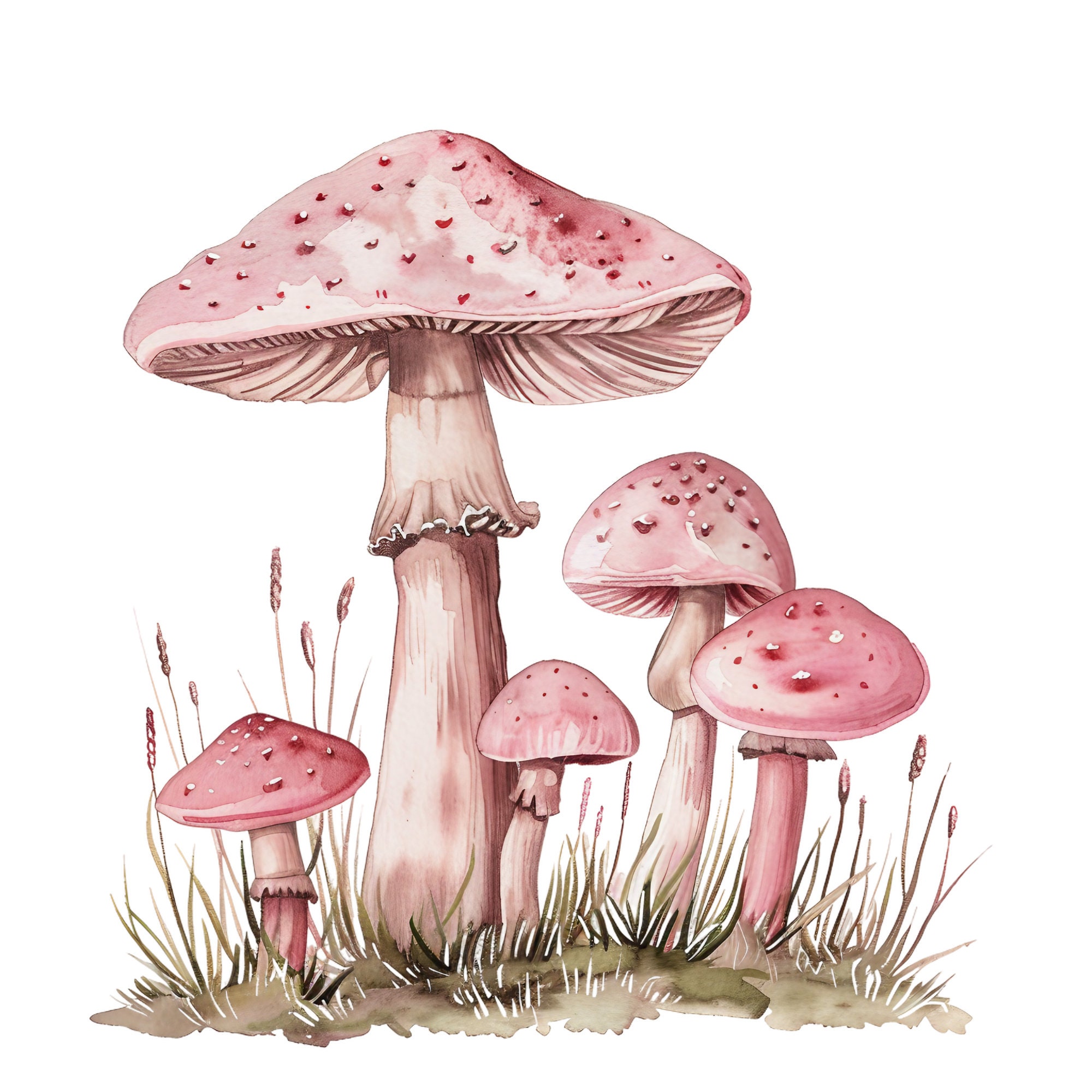 Mushroom Clipart Watercolor Pink Mushrooms Png Mushrooms Bundle Fairy ...