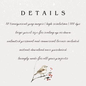 Christmas Watercolor Woodland Clipart, Winter Woodland Forest Animals ...