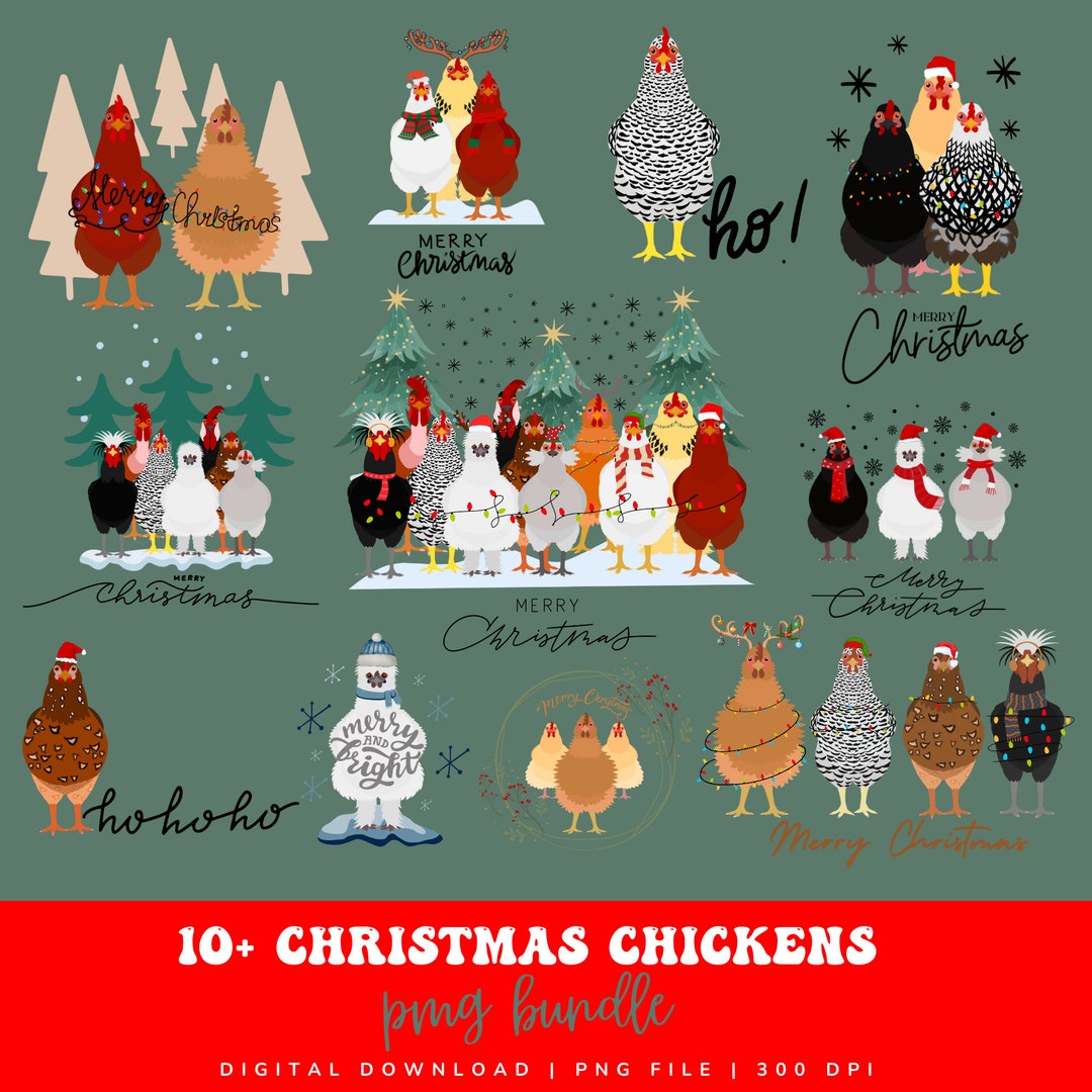 Chicken Graphics Bundle, Christmas Light PNG, Merry Christmas Chicken ...