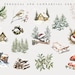Christmas Watercolor Woodland Clipart, Winter Woodland Forest Animals ...