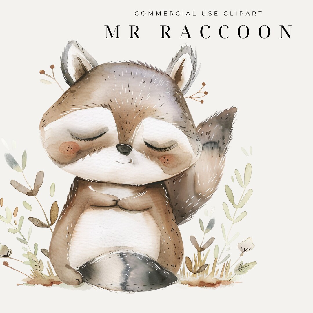 Cute Raccoon Clipart, Cute Raccoon Png, Watercolor Racoon, Woodland ...