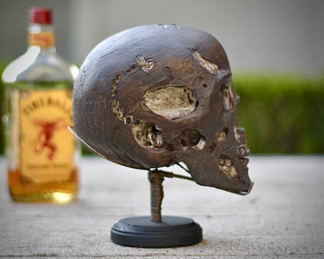 Human Skull Replica, Museum Display, Zombie, Mummified Head, Gothic ...