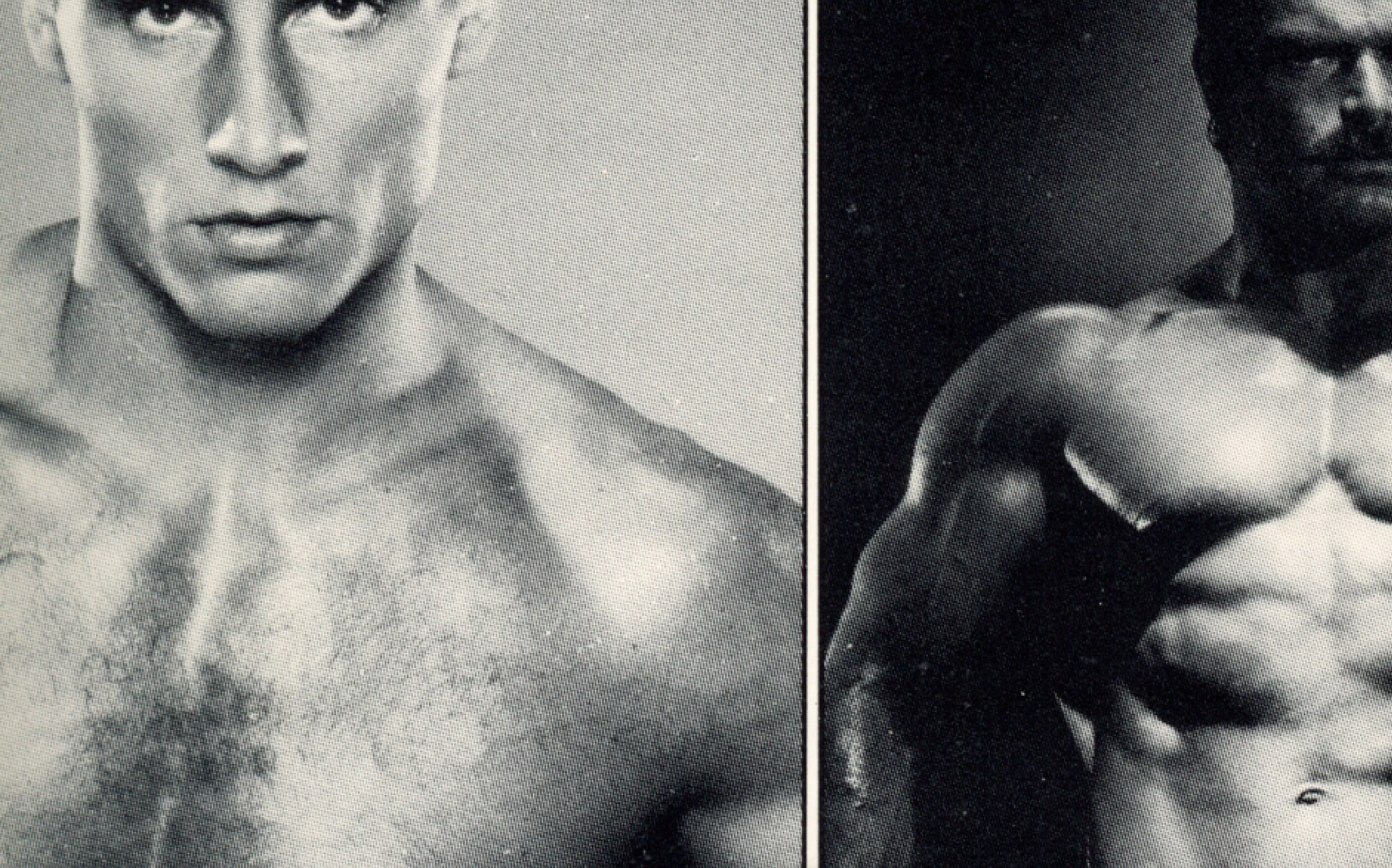 Vintage Art Print Gay Male Homoerotic COLT Man Poster Museum Quality ...