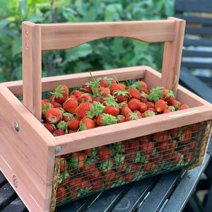 Cedar Garden Harvest Basket-hod-vegetable - Etsy UK