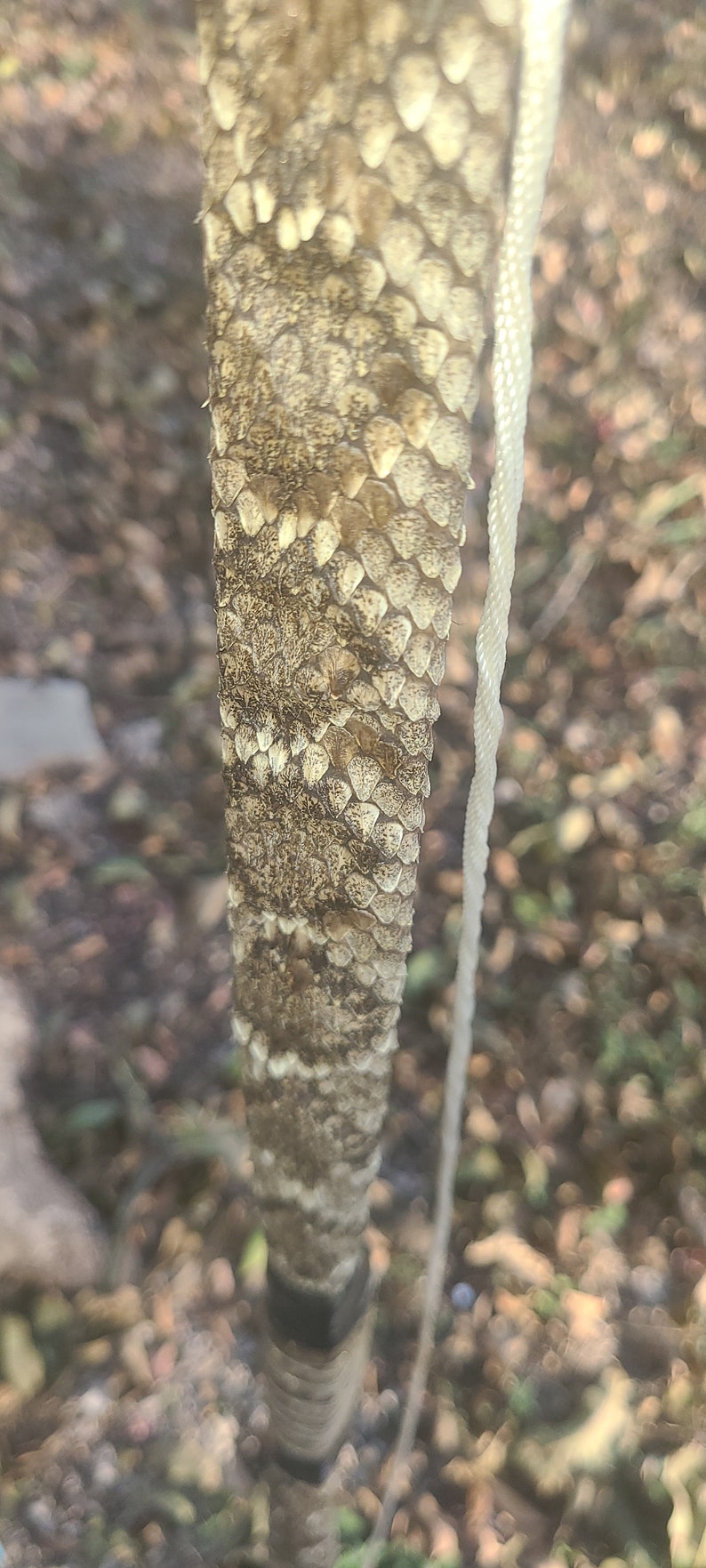 Plains Apache Style Bow & Arrow Set - Etsy