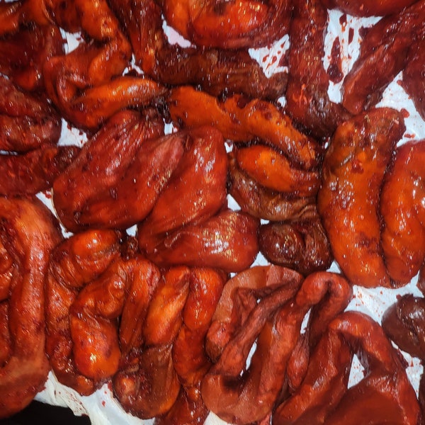 Fake Intestine - Etsy