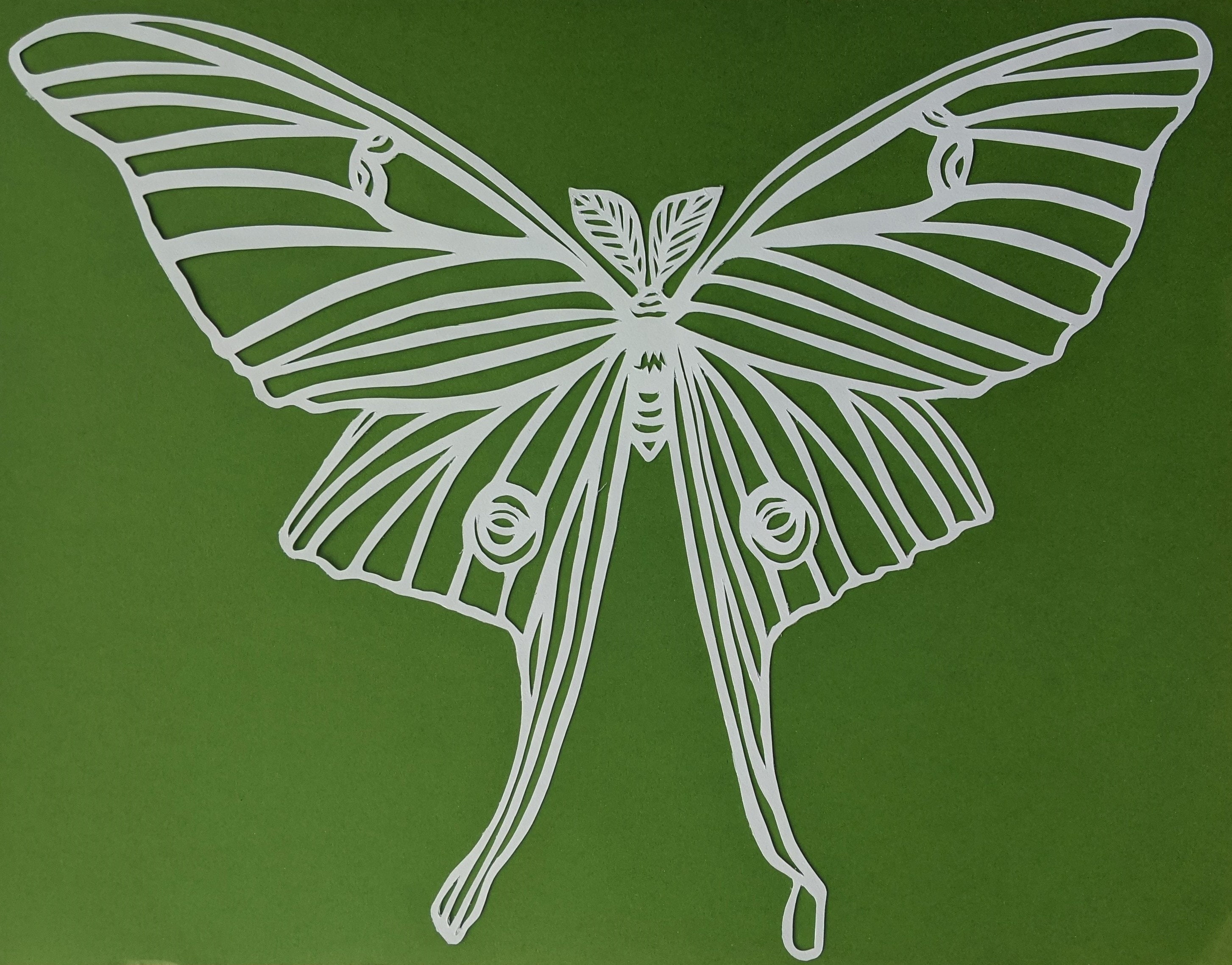 Large Luna Moth Paper Cut Artwork unframed - Etsy