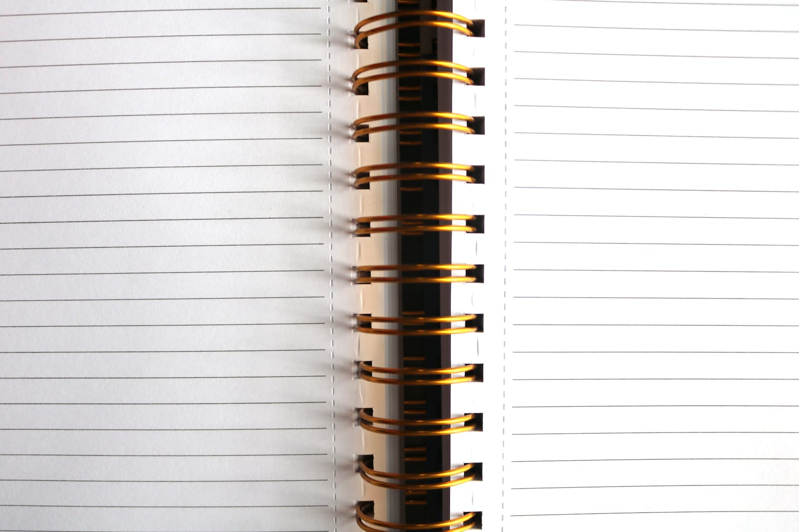 Large Landscape Notebook: Gold Spiral-bound Lined Journal - Etsy