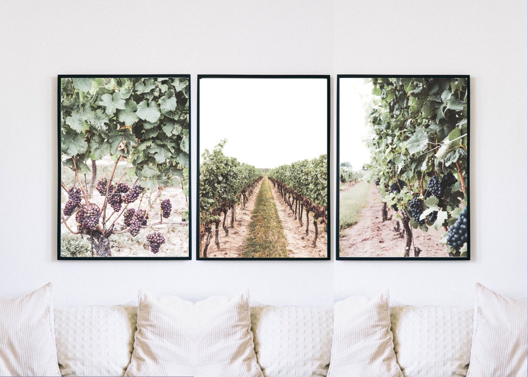 Vineyard Set of 3 Digital Print, Wine Country Poster, Napa Valley ...