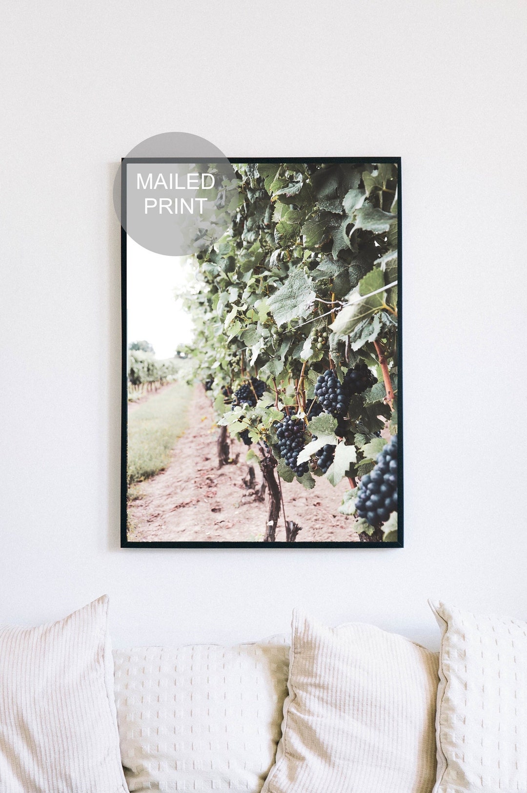 Vineyard Photography Print: Napa Valley Wine Country Wall Art - Etsy