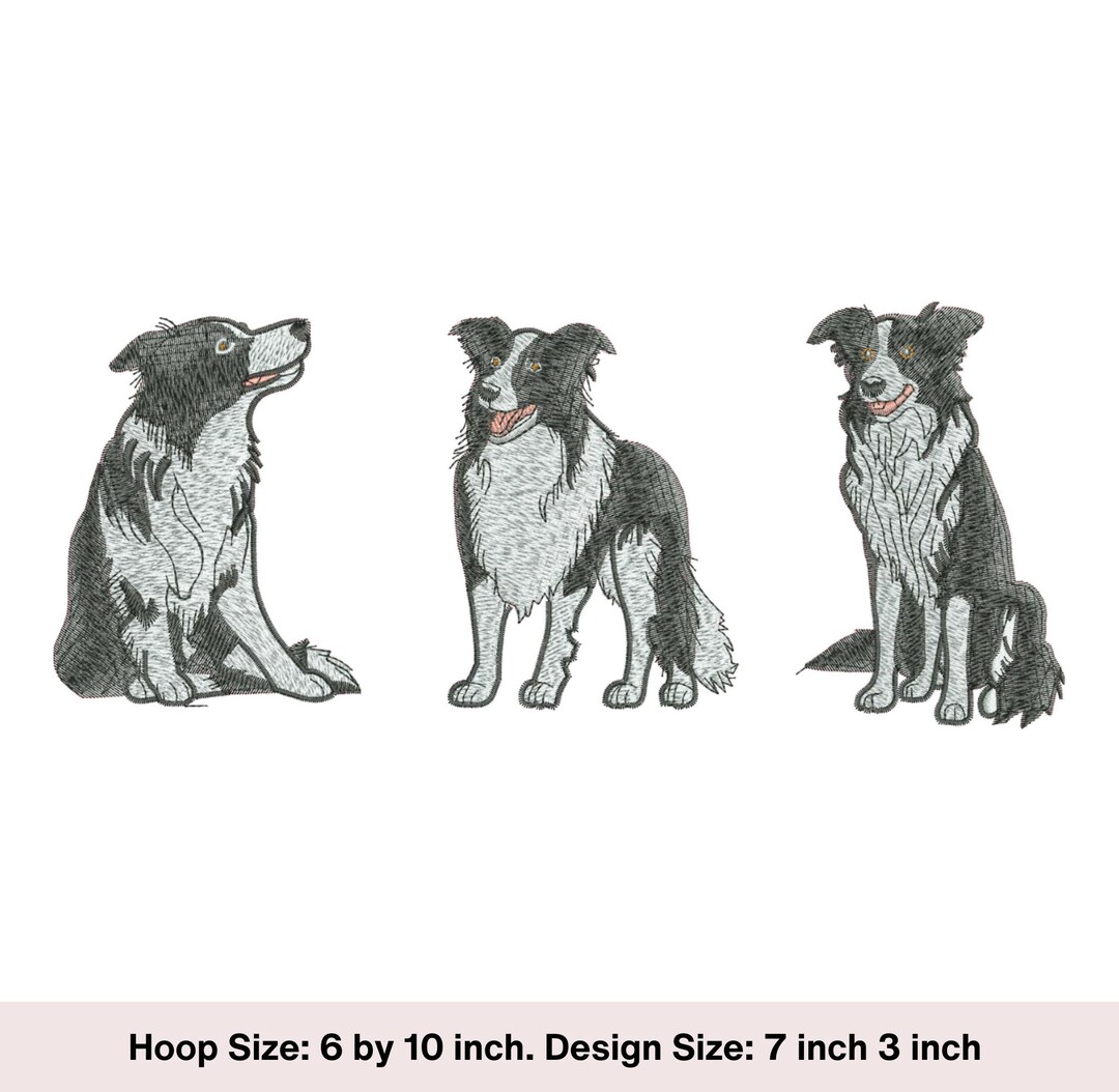 Border Collie Embroidery Design: Dog Border (6x10 Inch Hoop) (digital ...