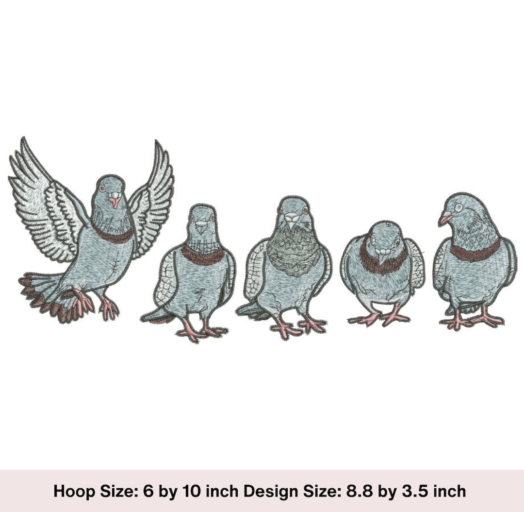 Pigeon Embroidery Border Design: Bird Machine Embroidery (6x10 Inch ...