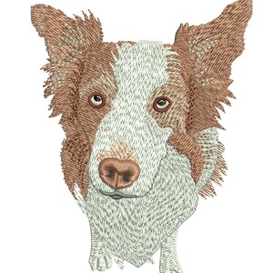 Brown Border Collie Embroidery Design, Embroidery File Digital Download ...