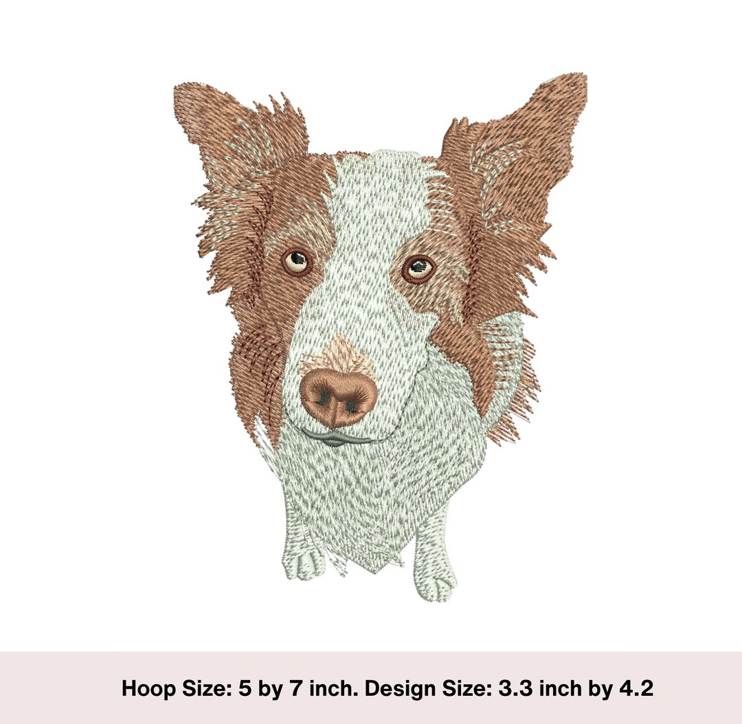 Brown Border Collie Embroidery Design, Embroidery File Digital Download ...