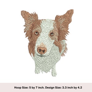 Brown Border Collie Embroidery Design, Embroidery File Digital Download ...