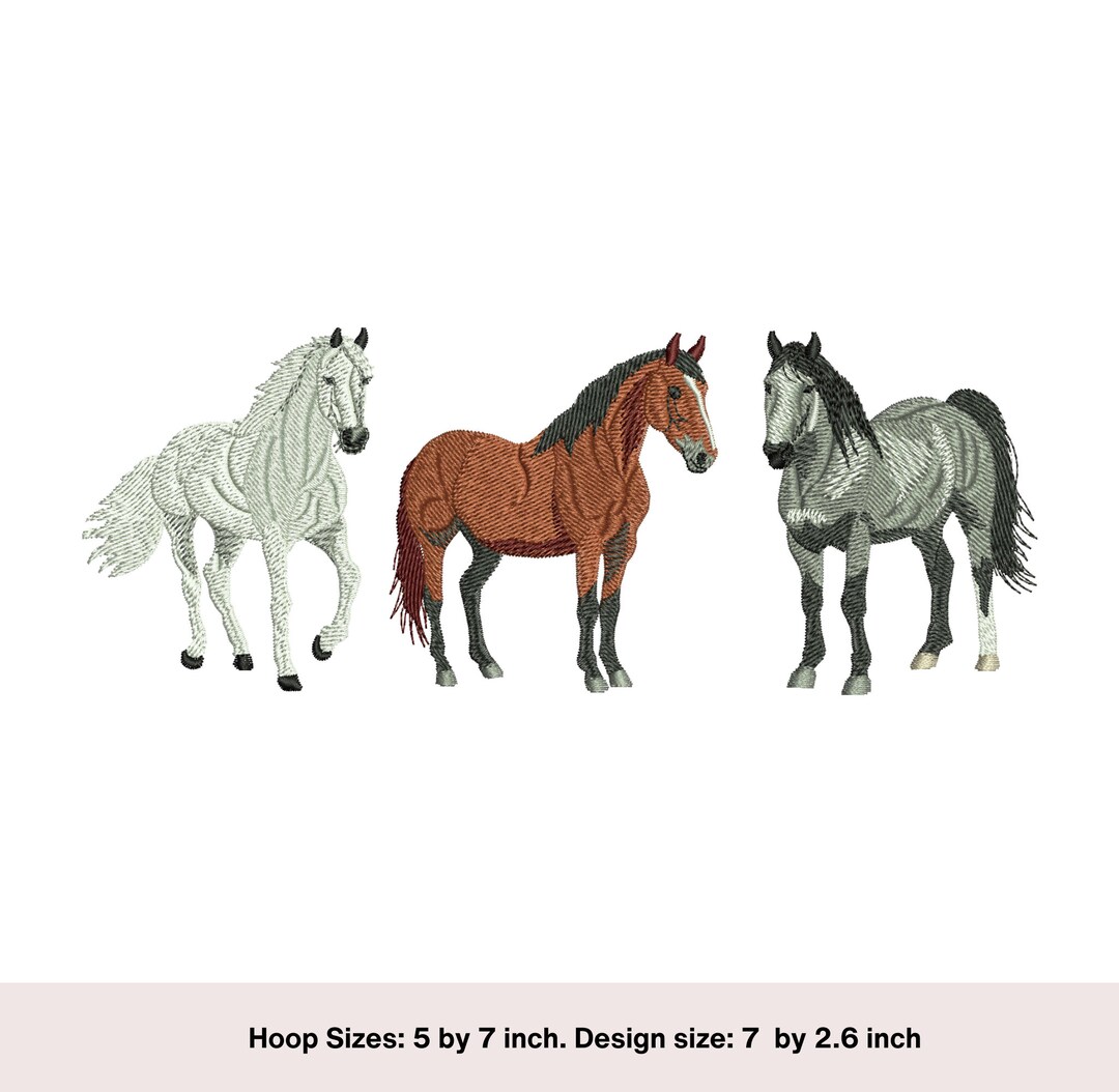 Horse Border Machine Embroidery Design (digital Download) - Etsy