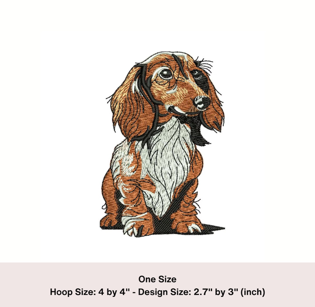 Long Haired Dachshund Embroidery Design: Adorable Dog (digital Download ...