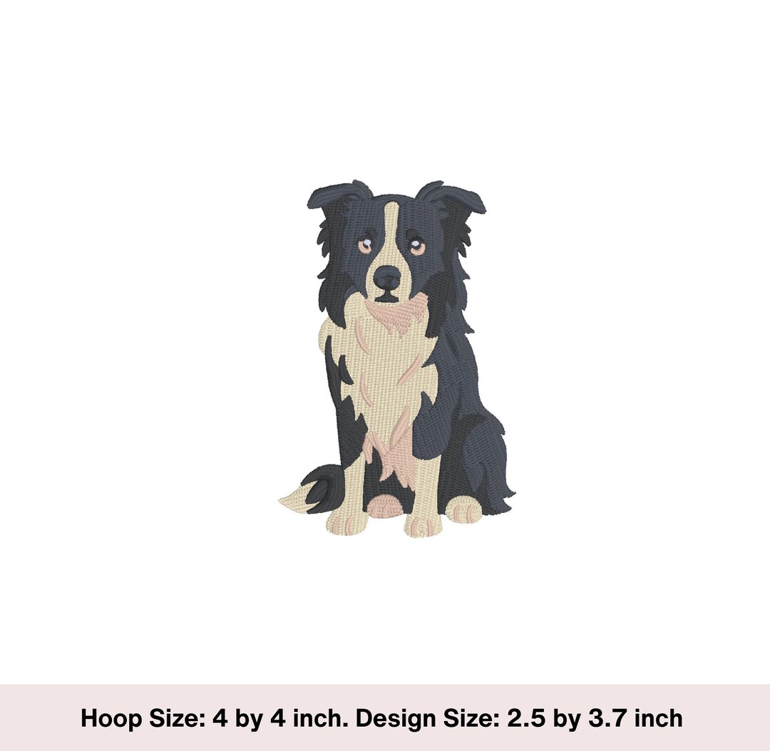 Border Collie Embroidery Design: 4x4 Dog Breed Pattern (digital ...