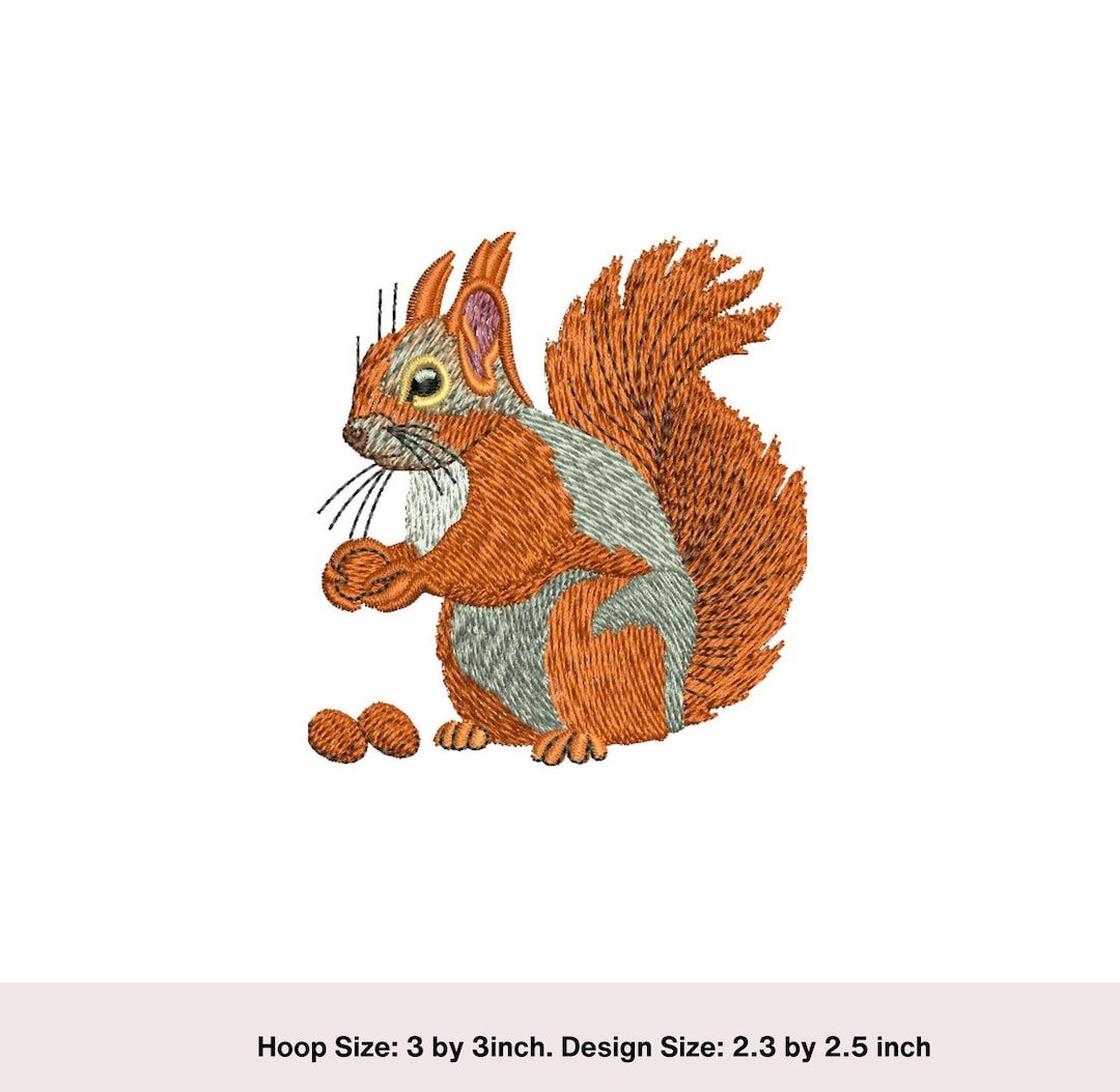Squirrel Embroidery Design Machine Embroidery Design Woodland Animal ...