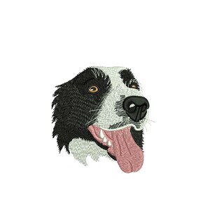 Border Collie Machine Embroidery Design, Digital Download. Realistic ...