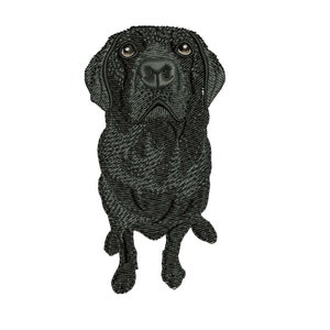Realistic Black Labrador Embroidery Design (digital Download) - Etsy