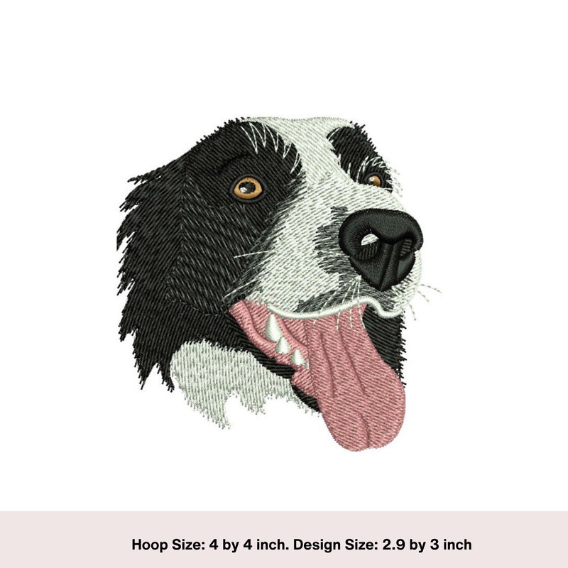 Border Collie - Etsy