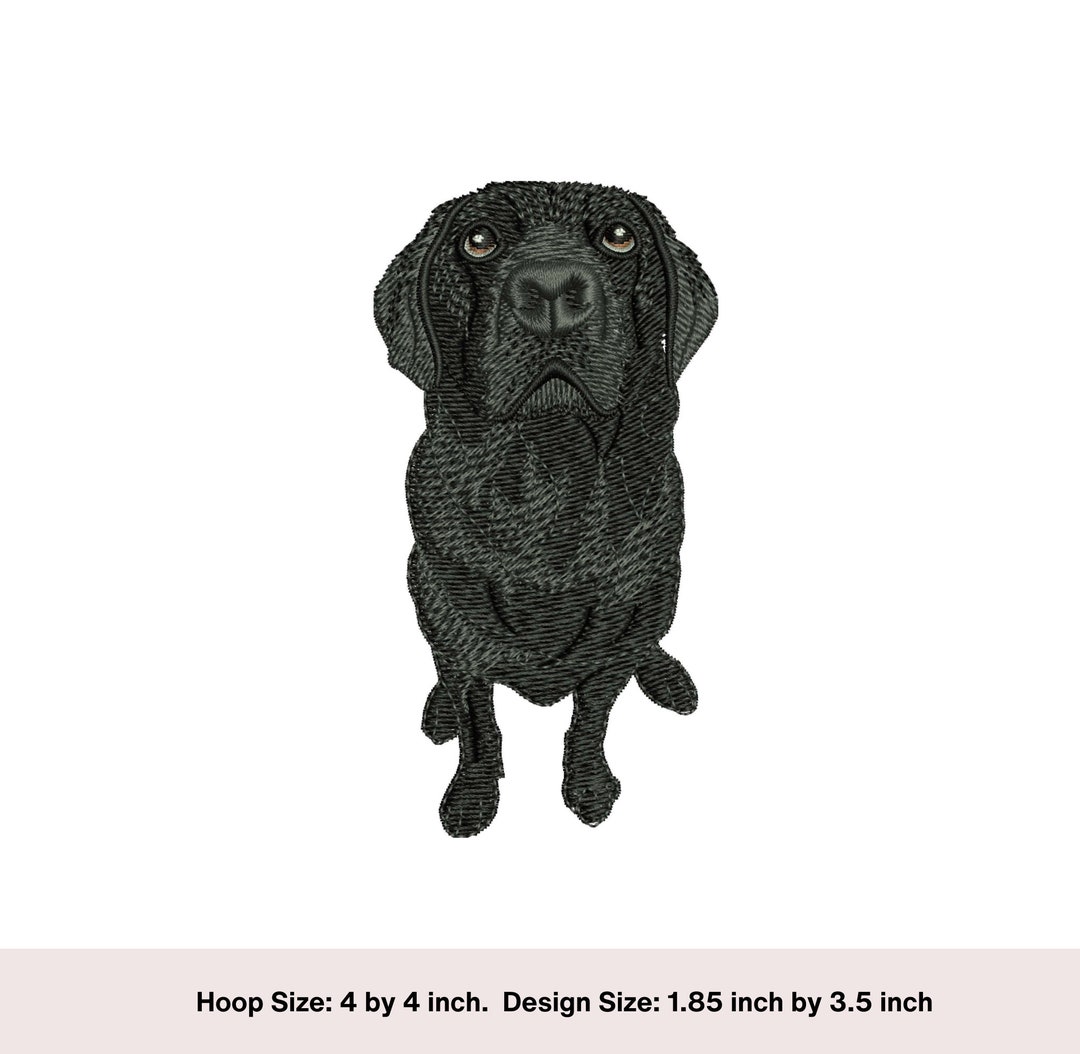 Realistic Black Labrador Embroidery Design (digital Download) - Etsy
