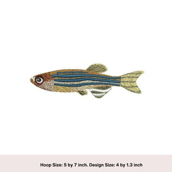 Zebra Fish - Etsy