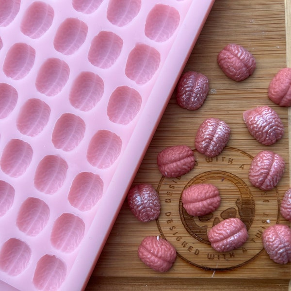 Brain Candy Mold - Etsy
