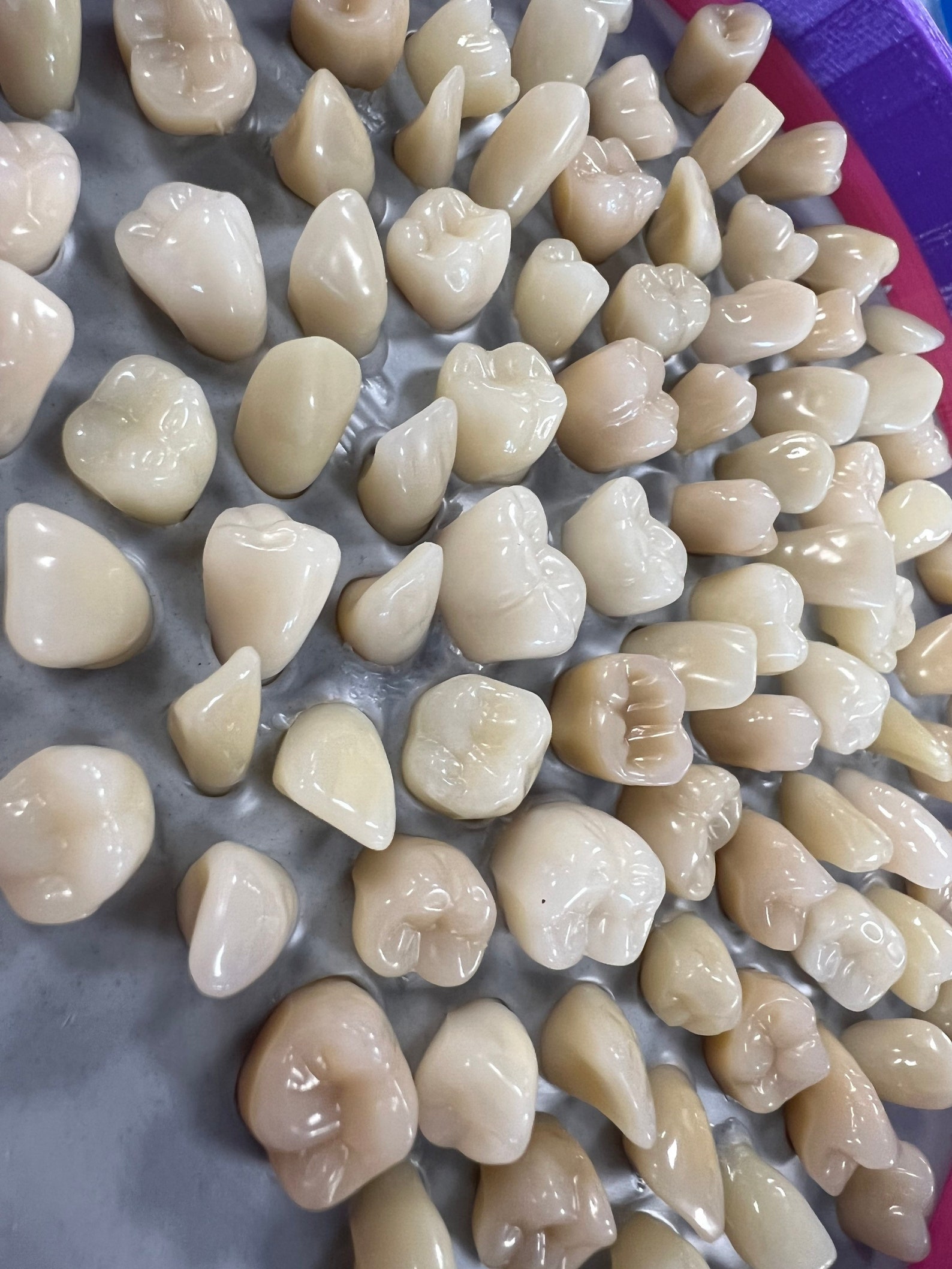 Human Teeth Silicone Mold. Tooth Silicone Mold. Silicone Mould - Etsy