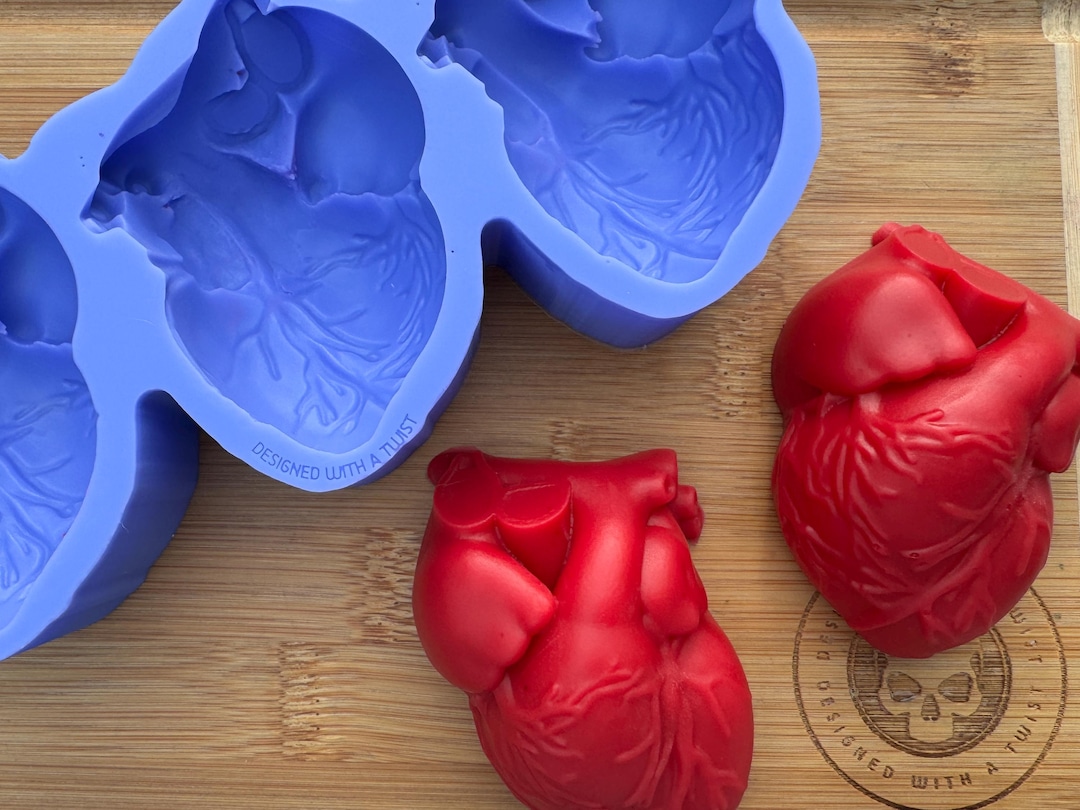 Anatomical Hearts Silicone Mould for Wax, Resin, Clay, Fondant ...