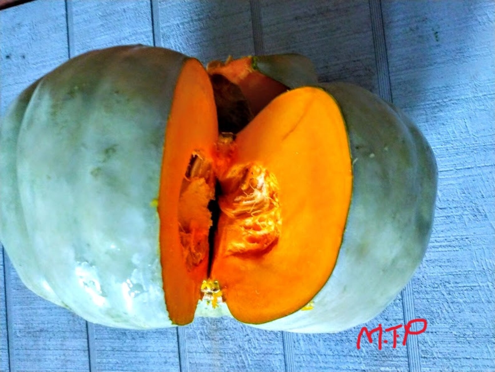 Jarrahdale Blue Pumpkin Seeds - Jarrahdale Blue Pumpkin - Queensland ...