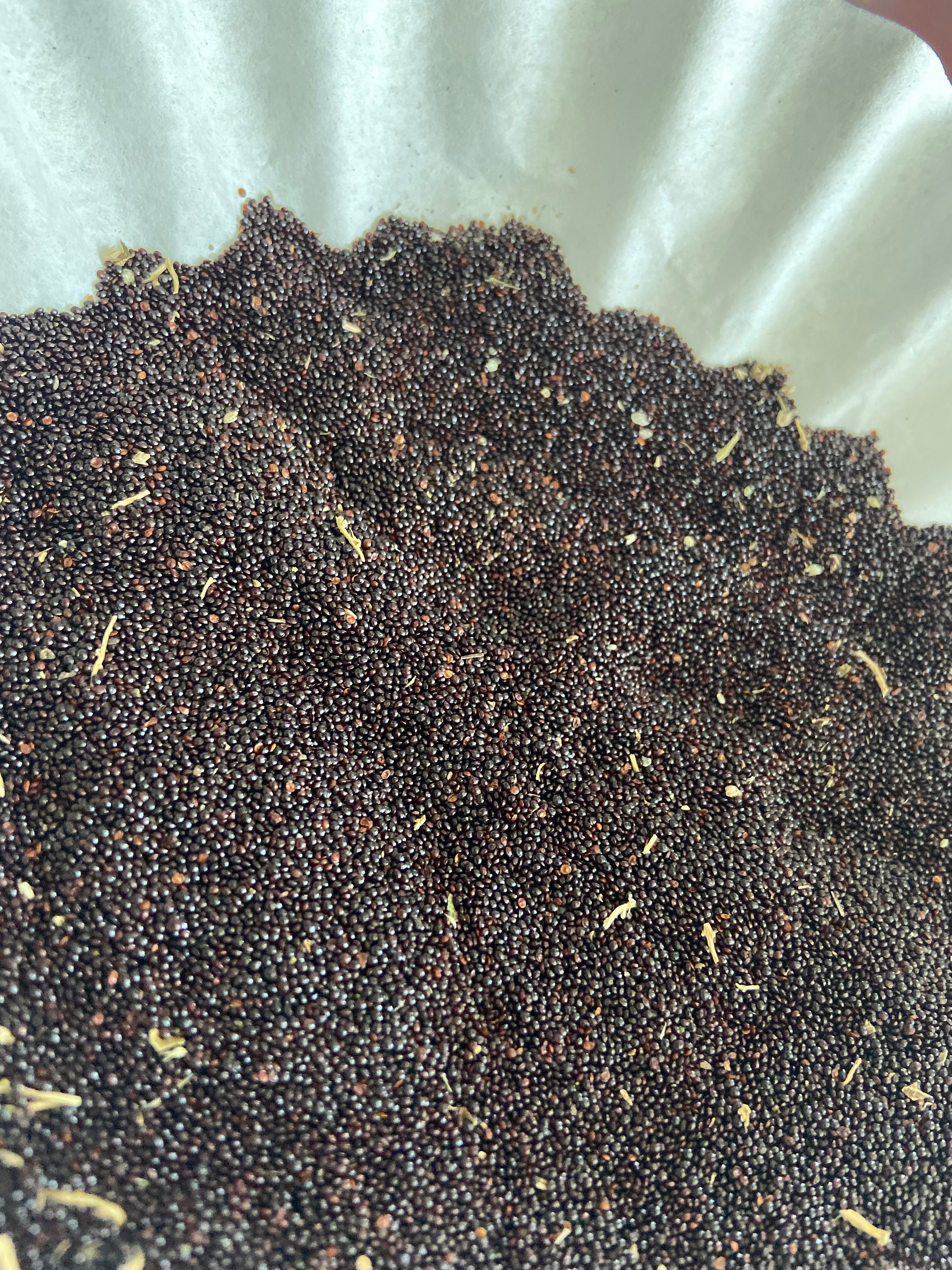 Green SEEDS (african Spinach, Efo Tete, Callaloo, Amaranthus Hybridus ...
