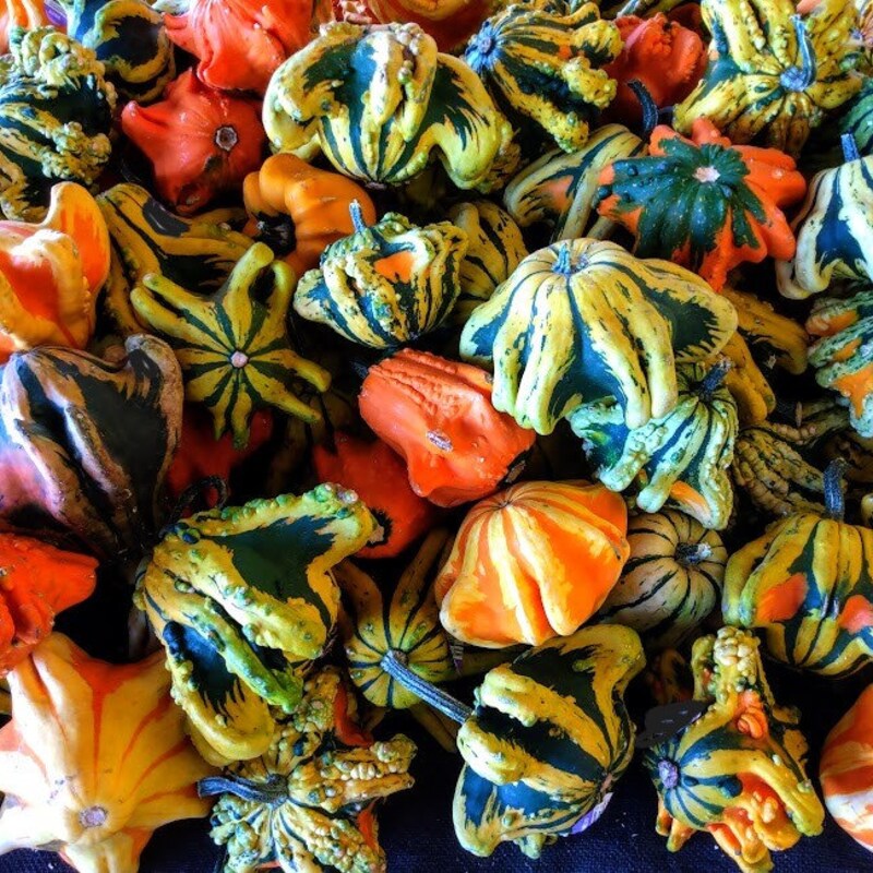 Gourd Dolls - Etsy