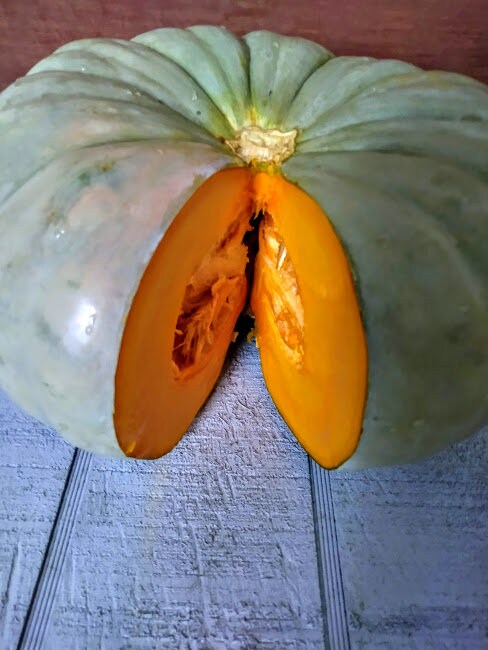 Jarrahdale Blue Pumpkin Seeds - Jarrahdale Blue Pumpkin - Queensland ...