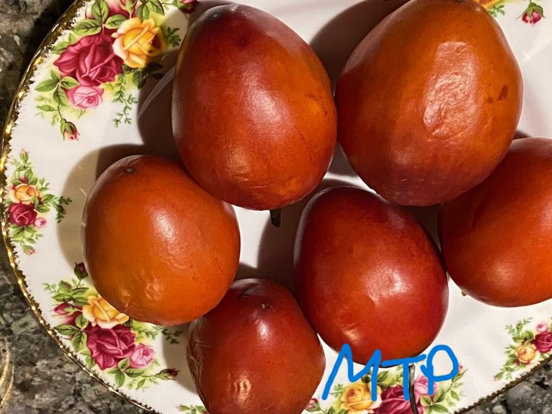 Tamarillo Seeds, Tomato Tree Seeds, Tree Tomato Seeds for Planting - Etsy