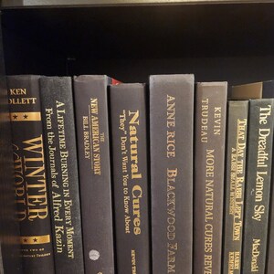 Fill a Bookshelf, Black Books W/ Gold Lettering, Black Books Bundle (28 ...