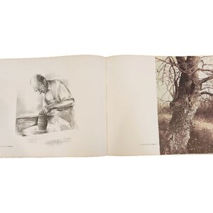 Vintage Jericho Book, the South Beheld, H. Shuptrine and J. Dickey ...