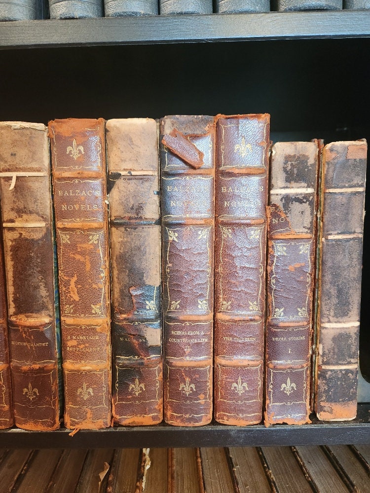 Works of Honoré De Balzac Complete 18 Vol Book Set, Limited Edition ...