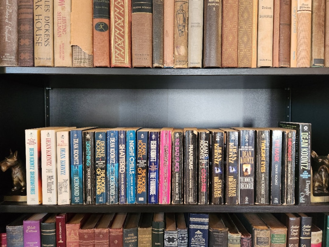 Vintage Paperback Books, Lot of 22 Dean Koontz Paperback Books, Bundle ...